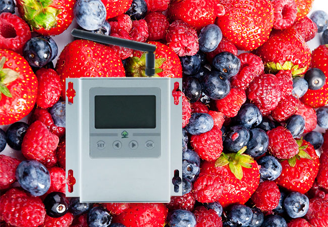 GSM SMS Smart Wireless Temperature Data Logger - Freshliance ...